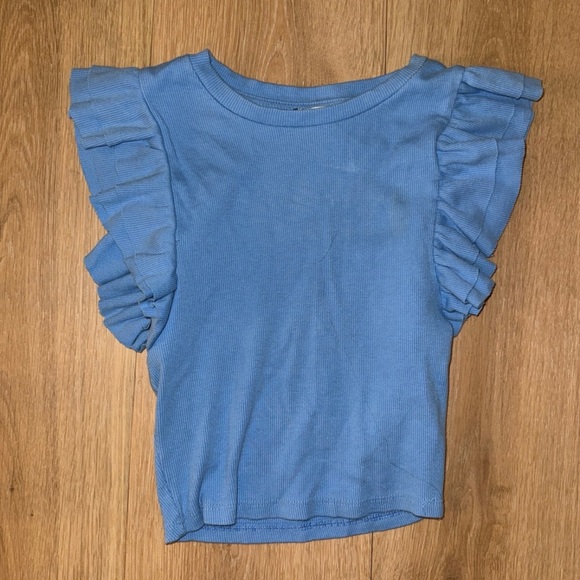 Zara | Tops | Zara Ruffle Sleeve Cropped Top | Poshmark